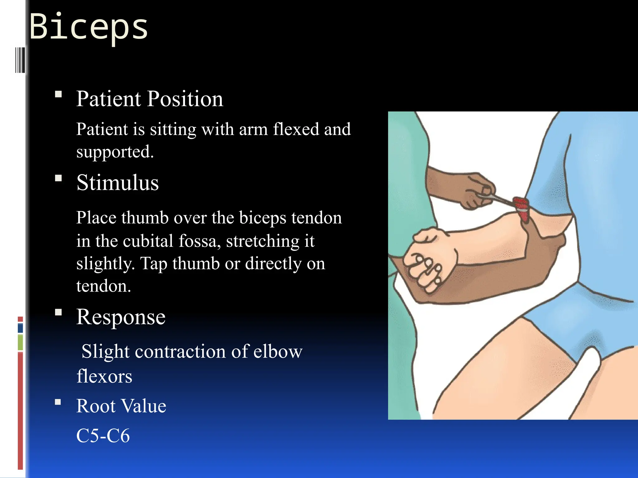 Reflex Examination, Introduction and Procedure | PPTX