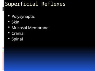 Reflex Examination, Introduction and Procedure | PPTX