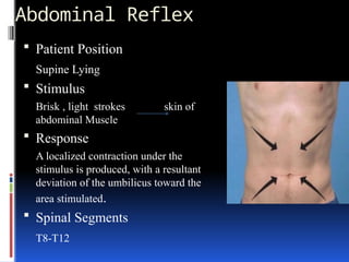 Reflex Examination, Introduction and Procedure | PPTX