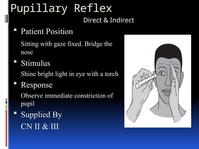 Reflex Examination, Introduction and Procedure | PPTX | Death, Injury ...