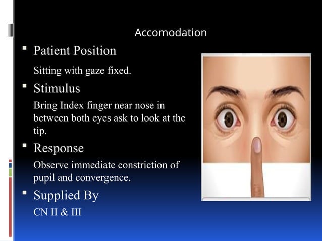 Reflex Examination, Introduction and Procedure | PPTX | Death, Injury ...