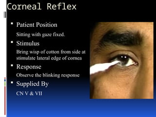 Reflex Examination, Introduction and Procedure | PPTX