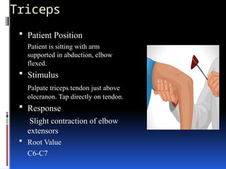 Reflex Examination, Introduction and Procedure | PPTX