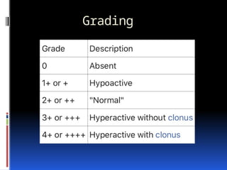 Reflex Examination, Introduction and Procedure | PPTX
