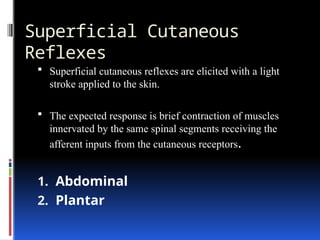 Reflex Examination, Introduction and Procedure | PPTX