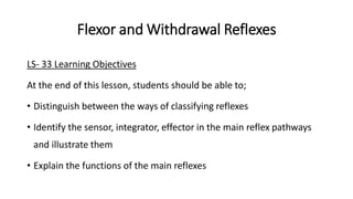 Reflexes.pdf............................. | PDF