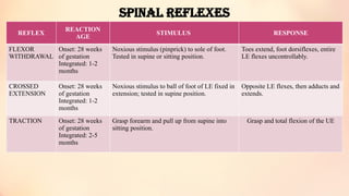 Reflex and various types of reflexes along with evaluation | PPTX