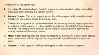 Reflex and various types of reflexes along with evaluation | PPTX