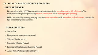 Reflex and various types of reflexes along with evaluation | PPTX