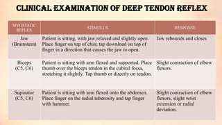 Reflex and various types of reflexes along with evaluation | PPTX