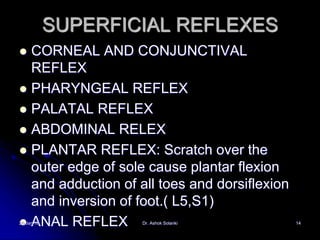 reflexes, clasifications, and functions. | PPTX