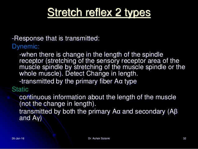 reflexes, clasifications, and functions.