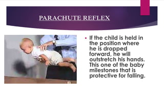 Reflexes | PPTX