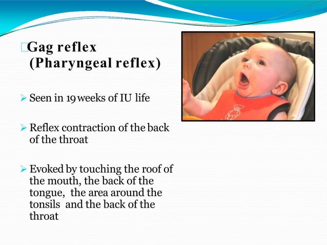 Reflexes-lec3.pptx