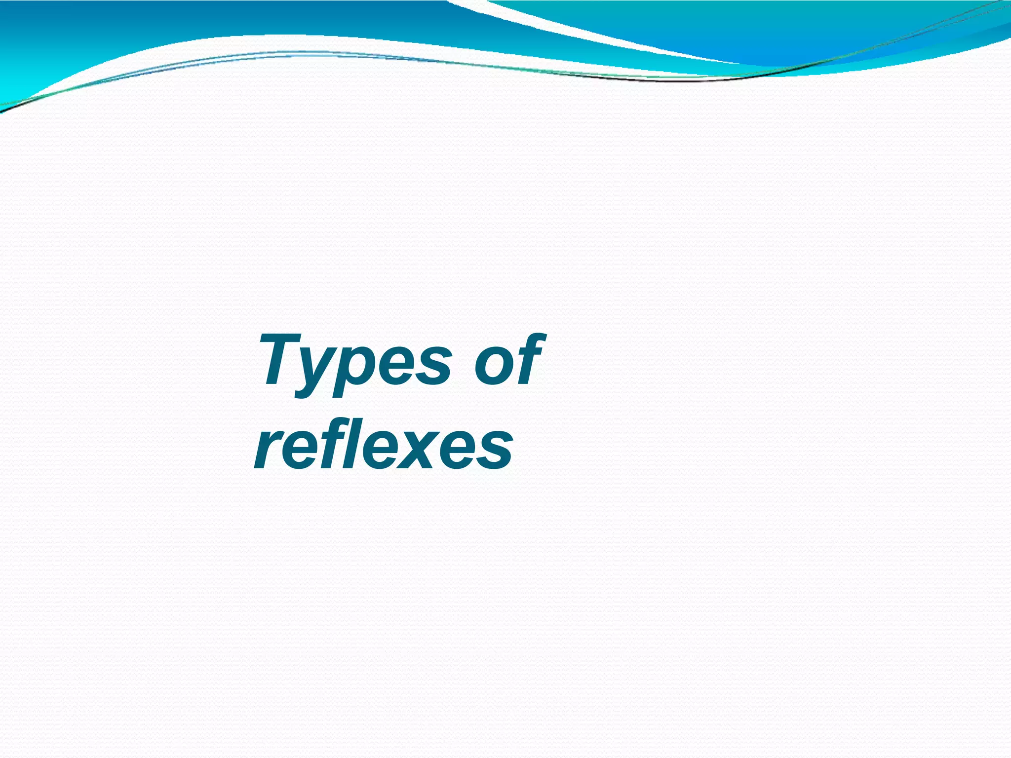Reflexes-lec3.pptx