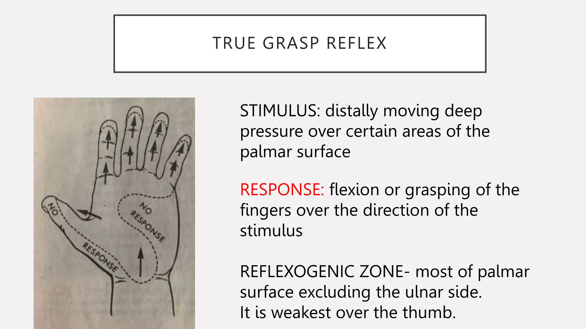 REFLEXES-PLP.pptx