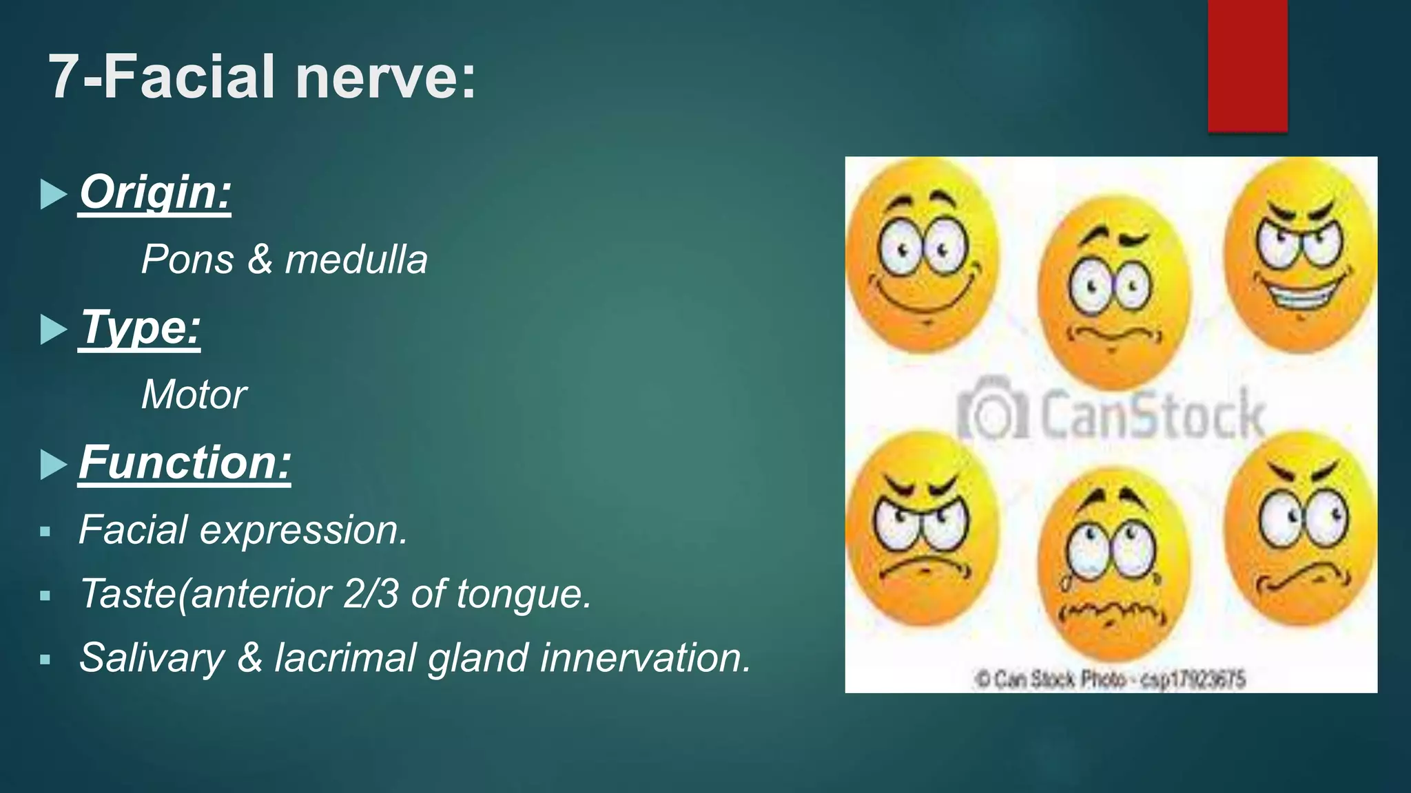 Reflexes and cranial nerves | PPTX