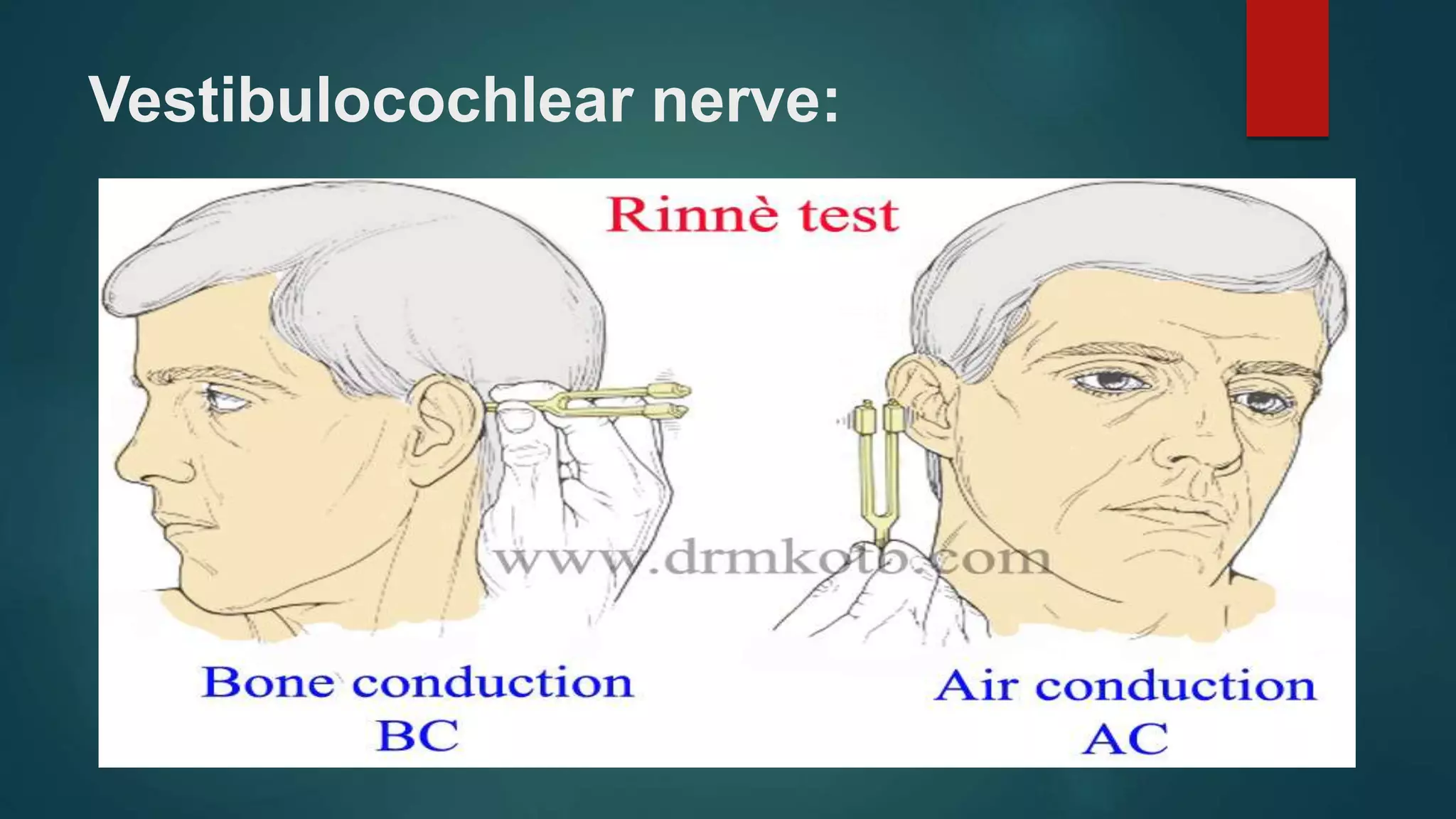 Reflexes and cranial nerves | PPTX