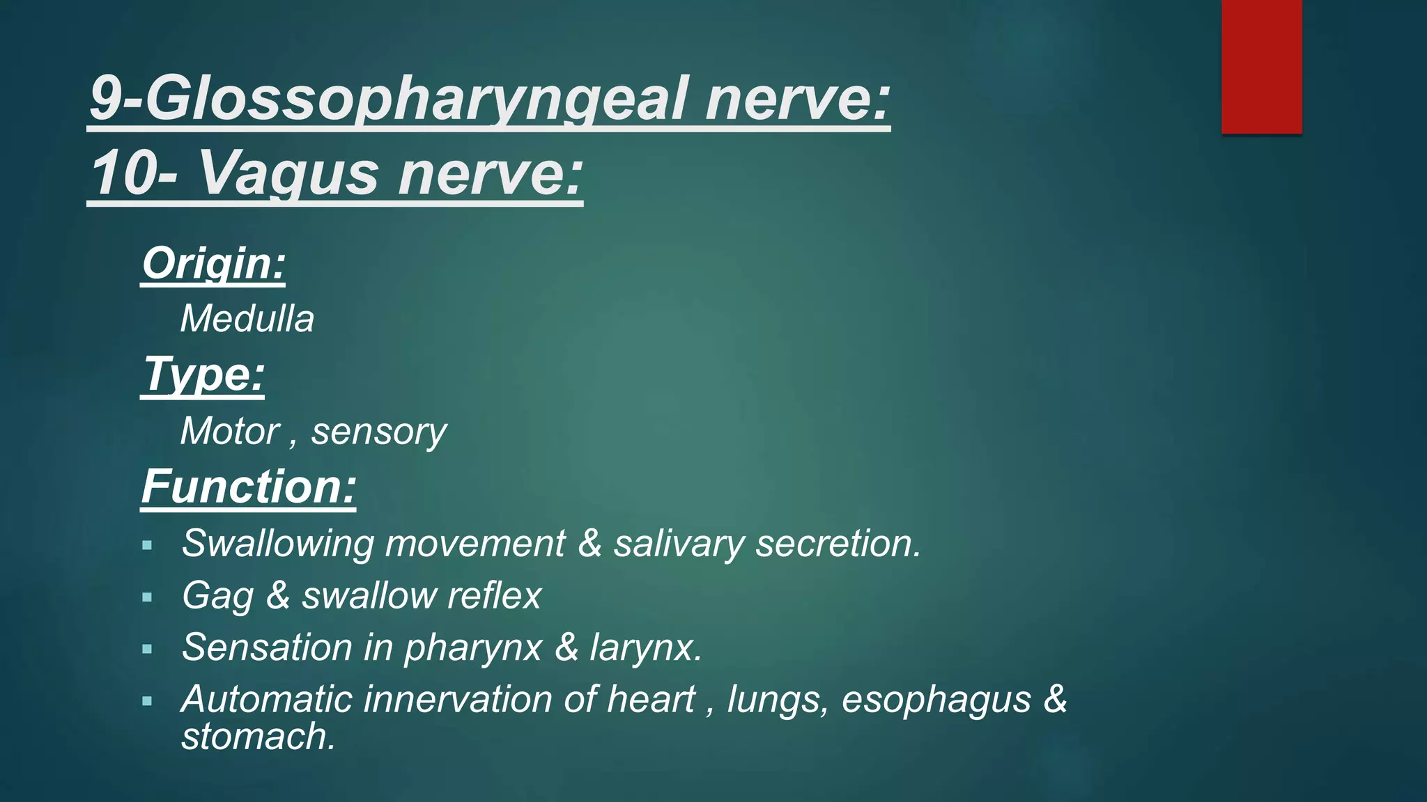 Reflexes and cranial nerves | PPTX