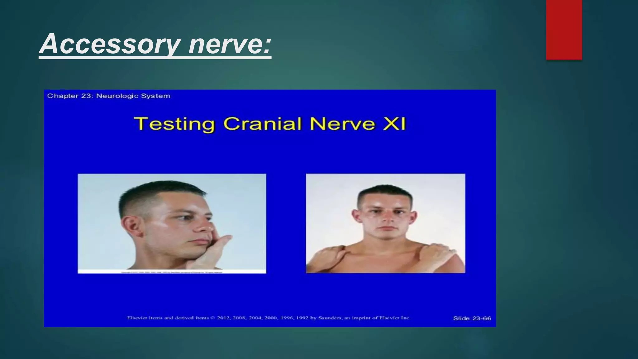Reflexes and cranial nerves | PPTX