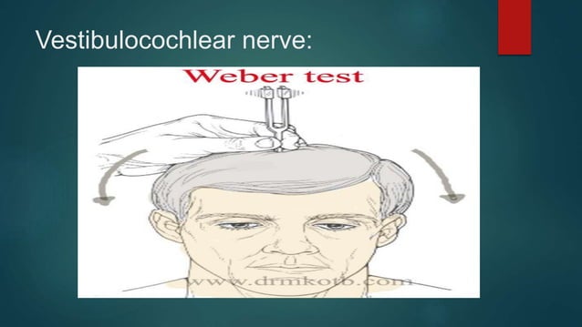 Reflexes and cranial nerves | PPTX | Brain and Nervous System Disorders ...