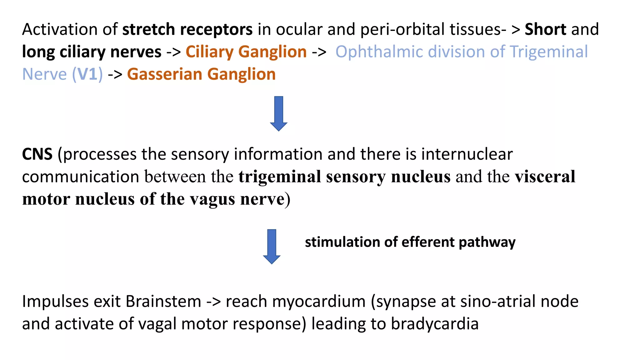 Ocular Reflexes- Oculocardiac reflex, Corneal reflex, Accomodation Reflex, Pupillary Reflex | PPTX