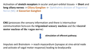 Ocular Reflexes- Oculocardiac reflex, Corneal reflex, Accomodation ...