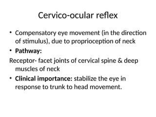 The ocular reflexes in ophthalmology.pptx