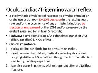 The ocular reflexes in ophthalmology.pptx
