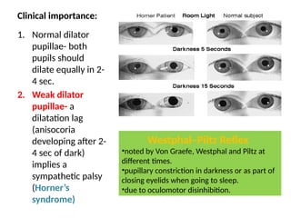 The ocular reflexes in ophthalmology.pptx