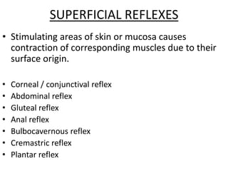 Reflexes | PPTX