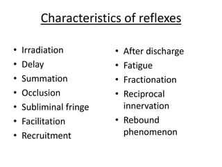 Reflexes | PPTX