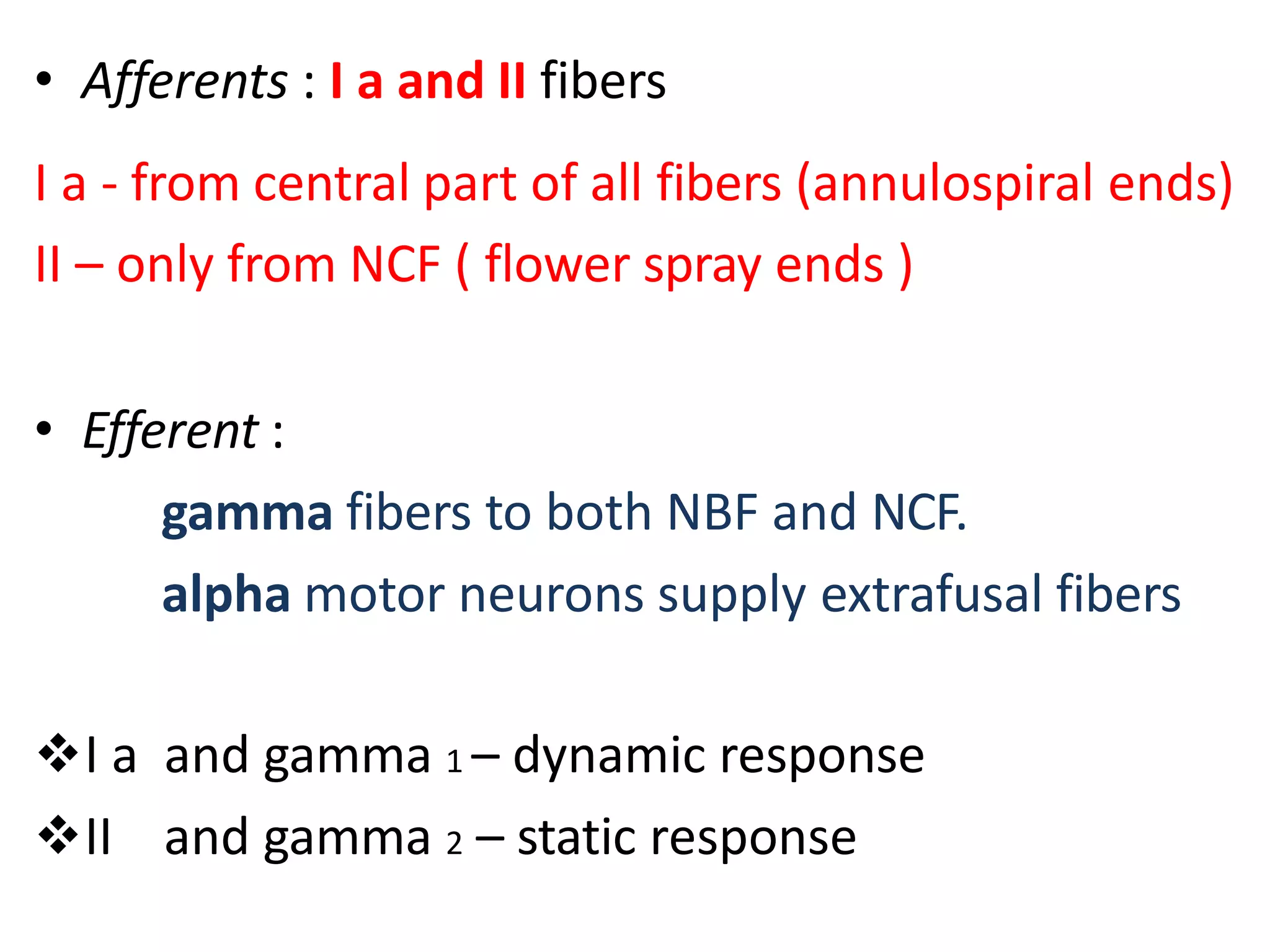 reflexes ppt.pptx