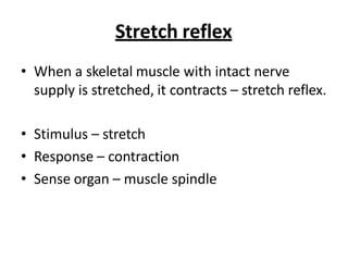 reflexes ppt.pptx