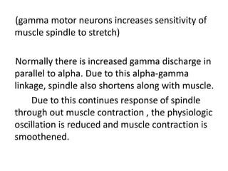 reflexes ppt.pptx