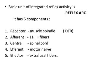 reflexes ppt.pptx