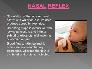 Reflexes present at birth | PPTX