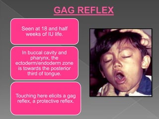 Gag Reflex Baby