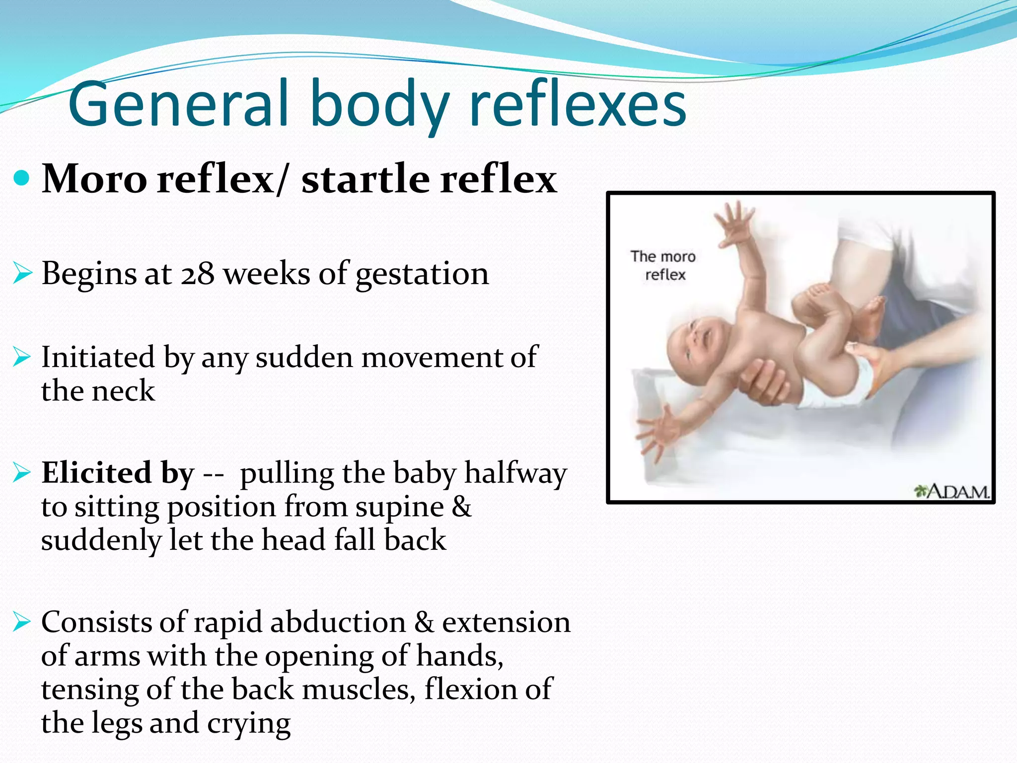 Reflexes present in infants | PPTX