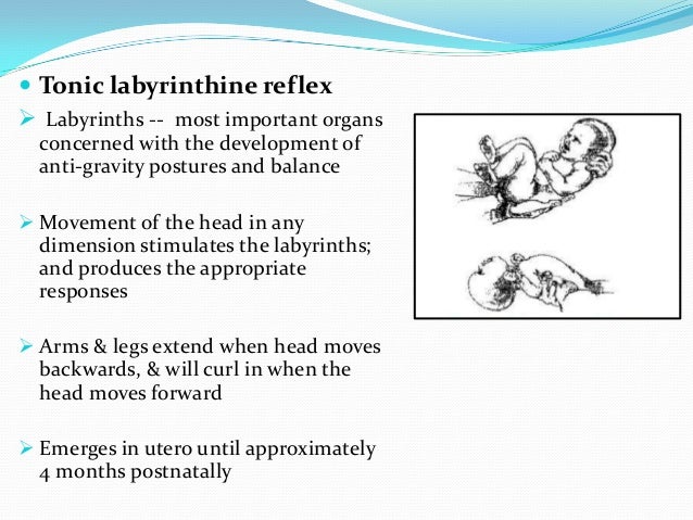 Reflexes present in infants