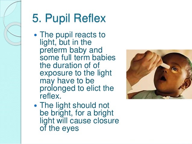 Reflexes present in infants