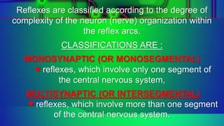 Reflexes theories | PPTX