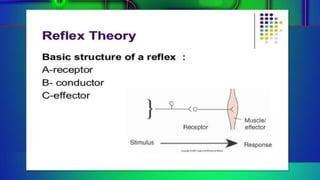 Reflexes theories | PPTX