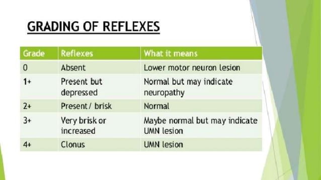 Reflex Examination.pptx