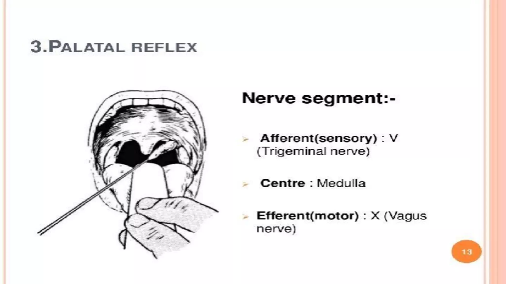 Reflex Examination.pdf