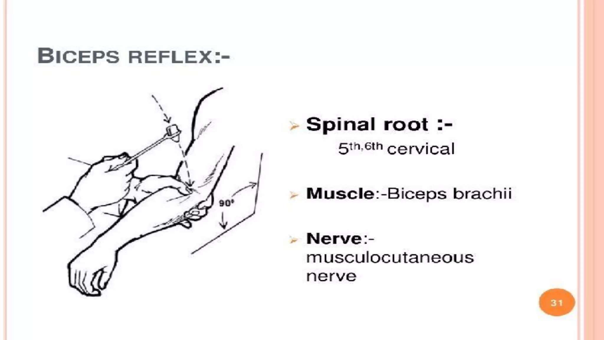Reflex Examination.pdf