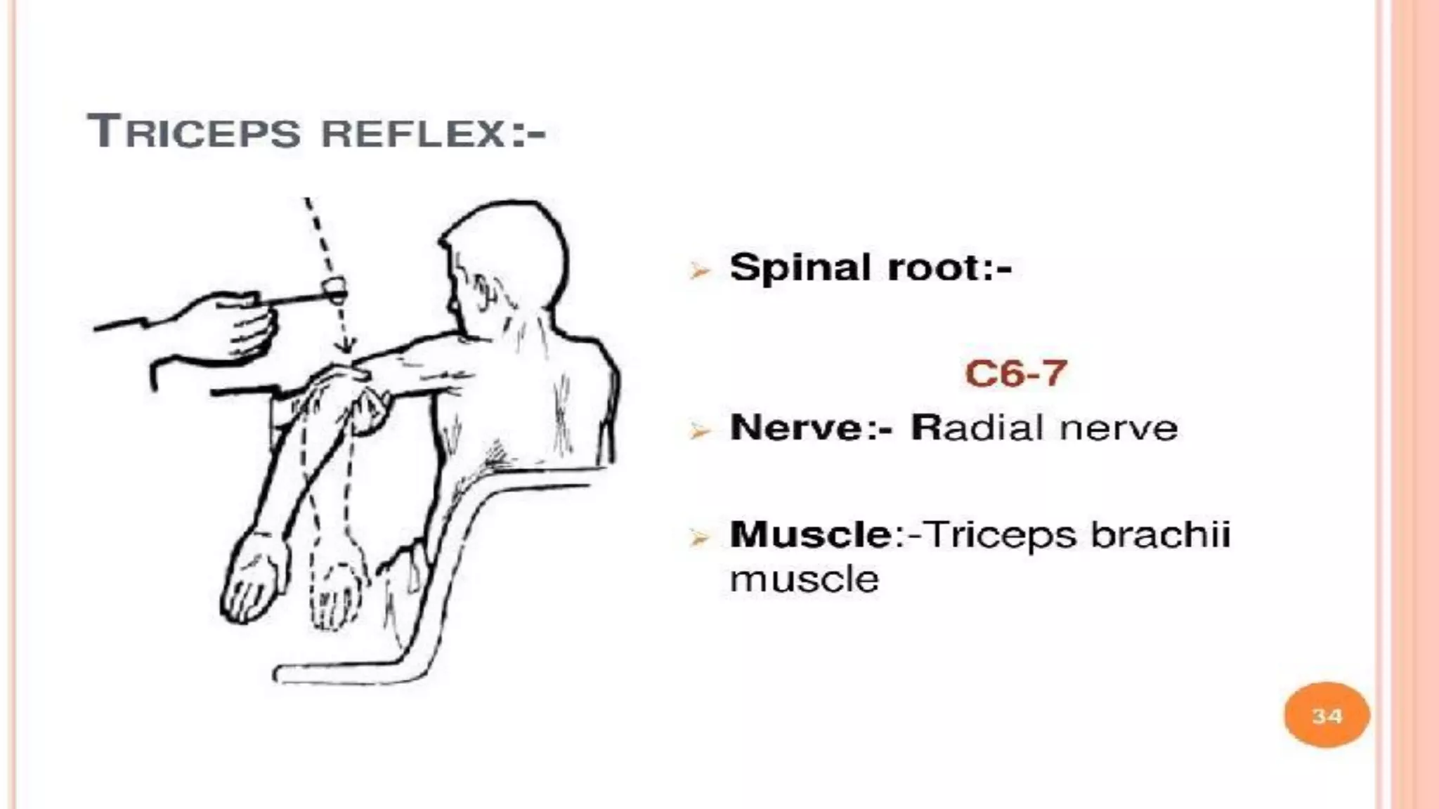 Reflex Examination.pdf