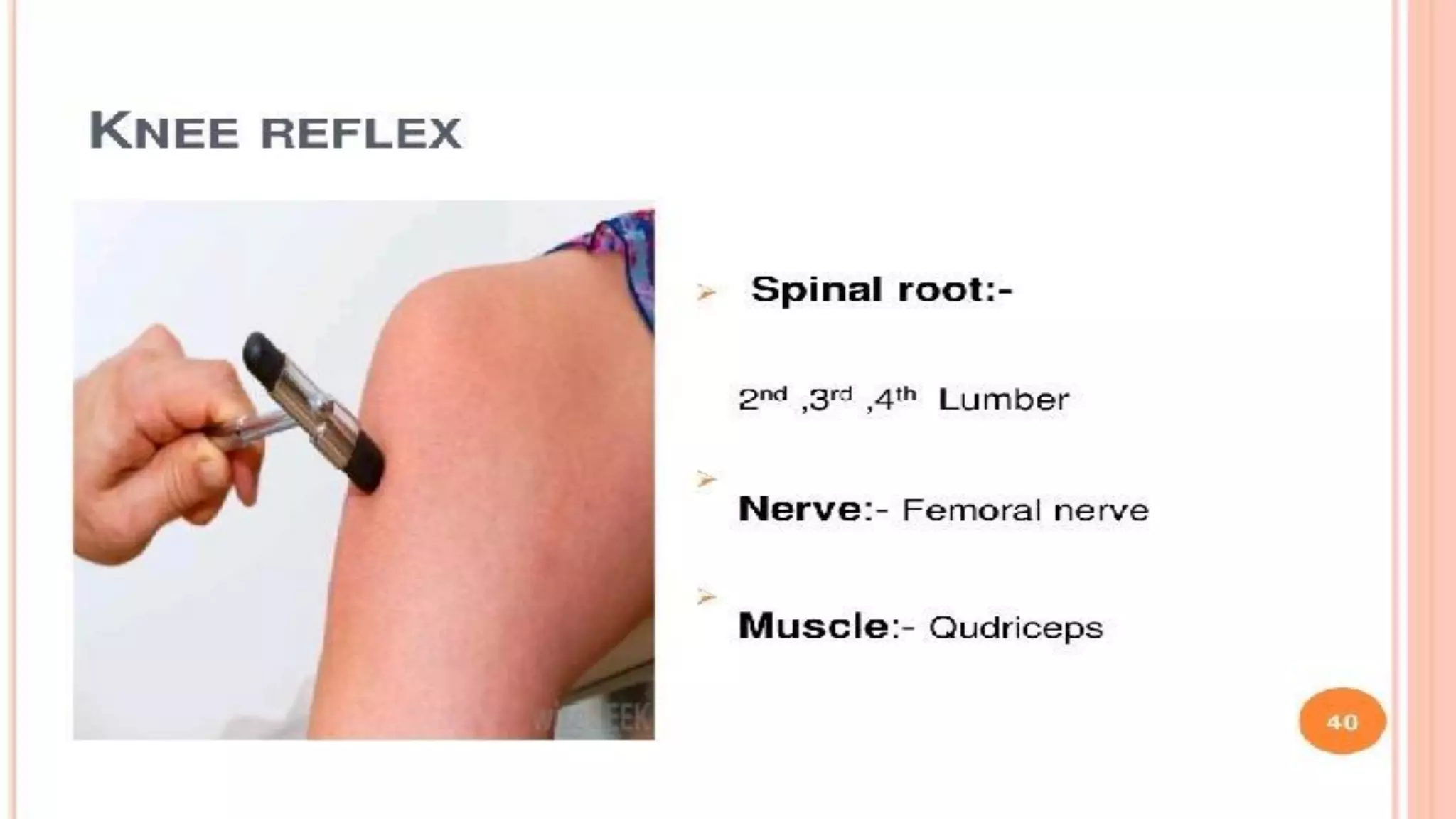 Reflex Examination.pdf
