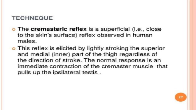 Reflex Examination.pdf