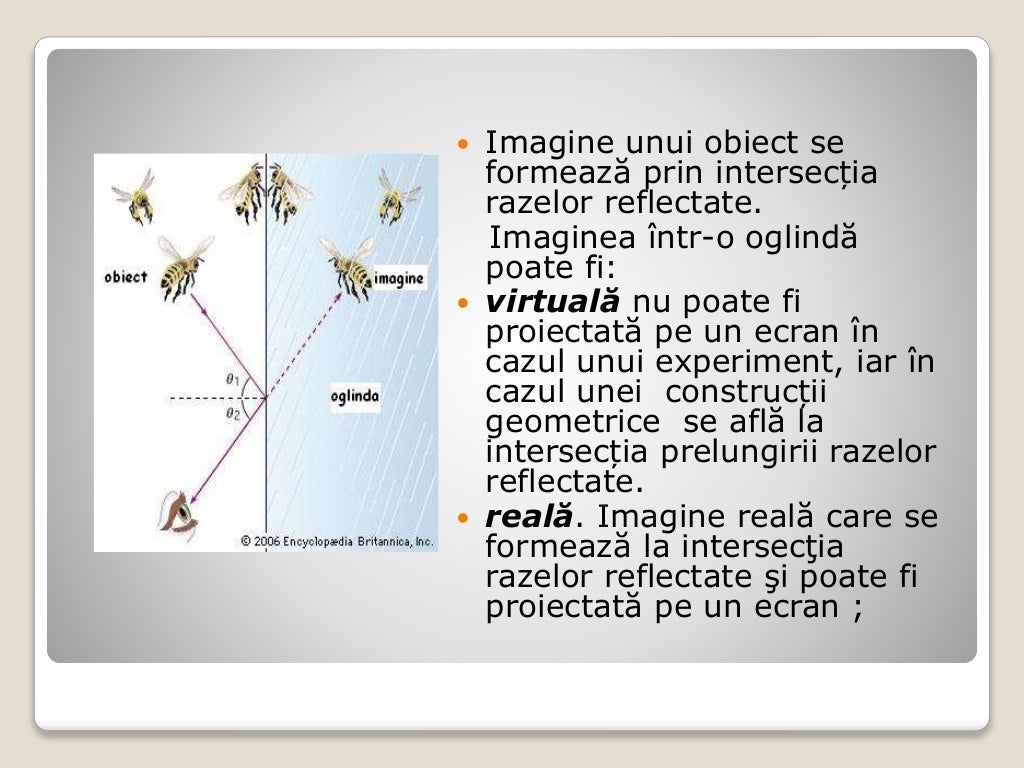 Reflexia Luminii